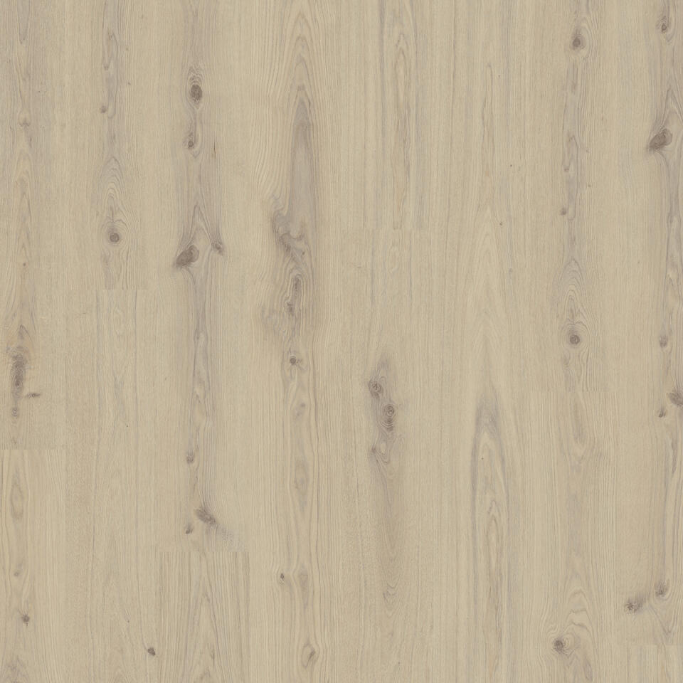 Delicate Oak DESERT iD Evolution Rigid Home Non-PVC
