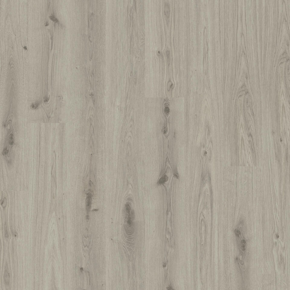 Delicate Oak GREY iD Evolution Rigid Home Non-PVC