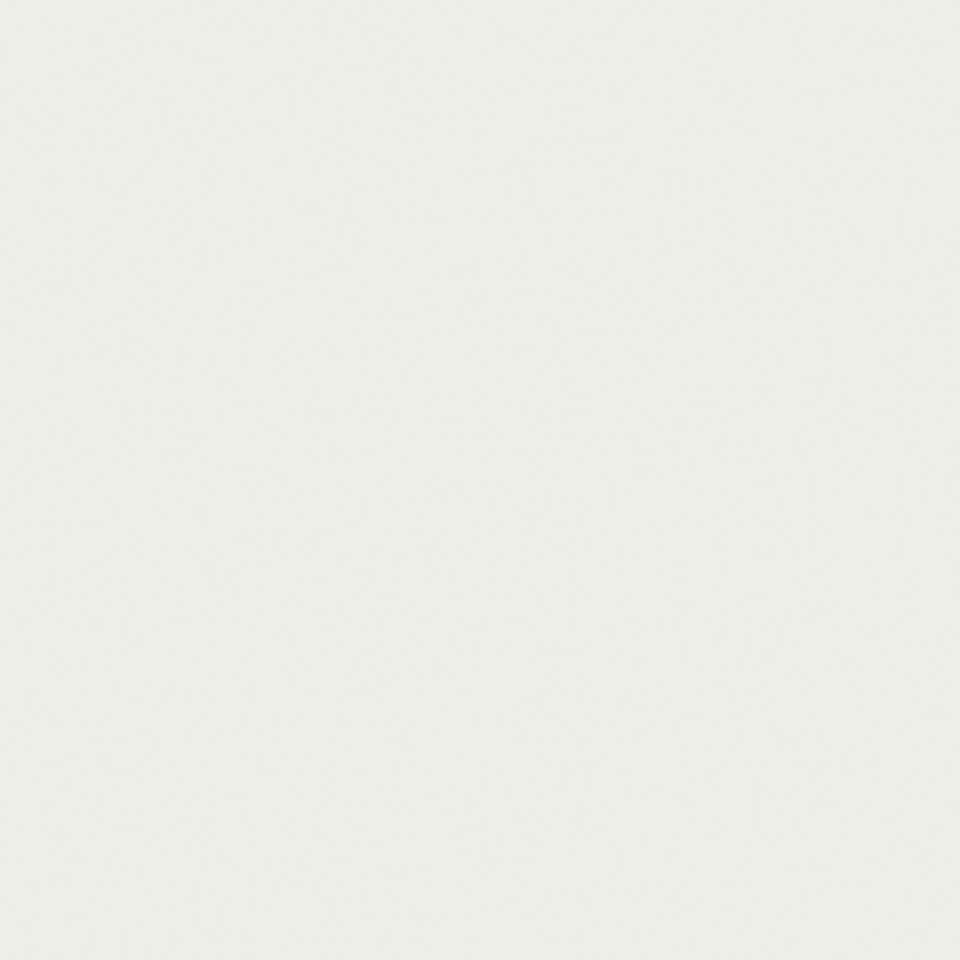 Uni SUPER WHITE ProtectWALL 1.5 墙塑