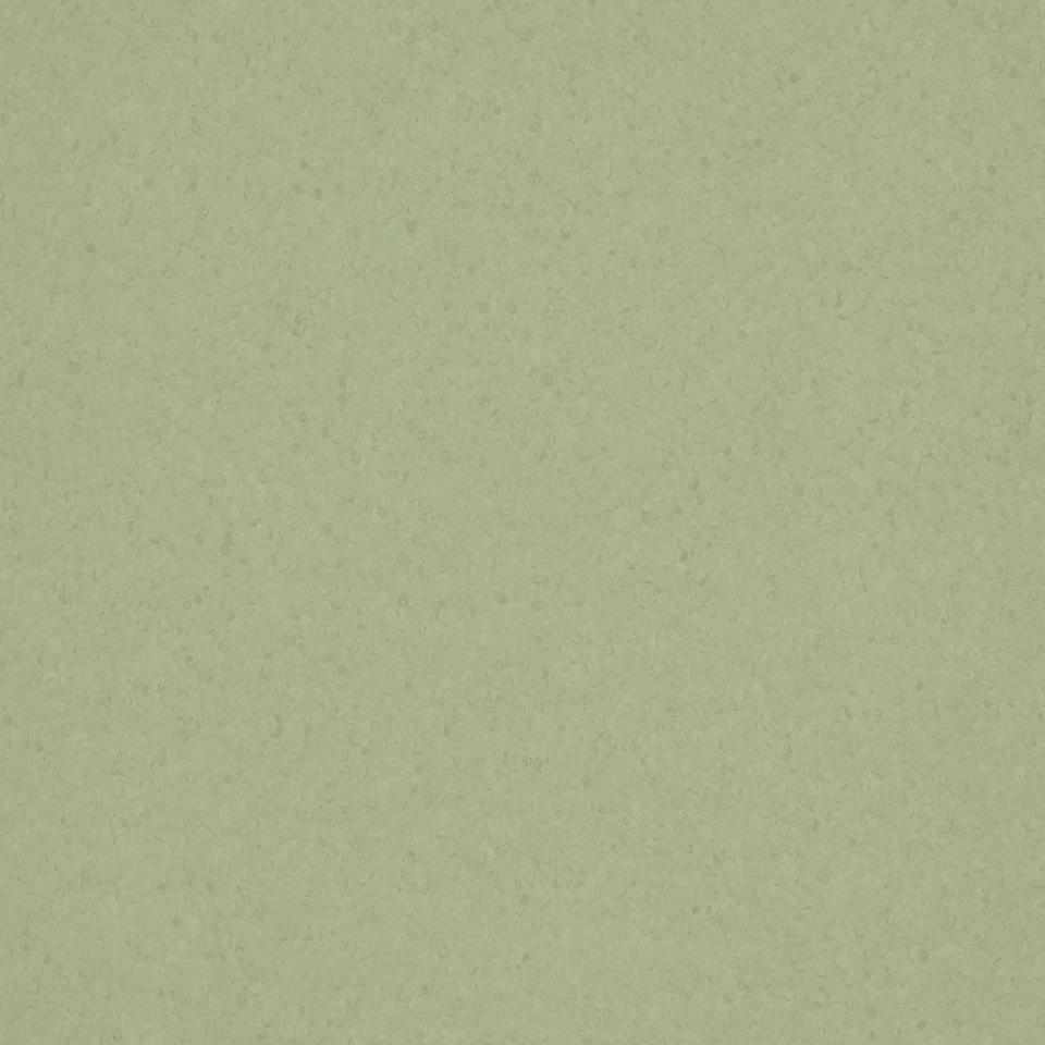 LIGHT OLIVE GREEN Somplan 550 同质透心PVC地板