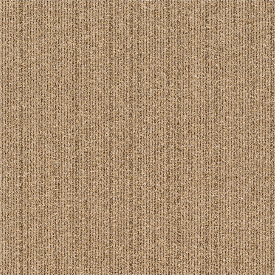 Desso AirMaster AD20 2926-V B8 50x50 Desso AirMaster Classic DESSO ...