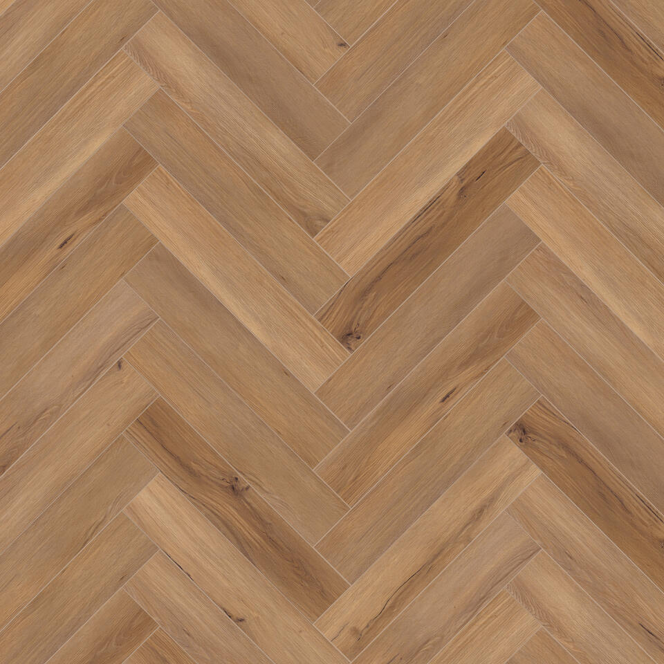 MAYA AMBIENT HOUSE Art Vinyl