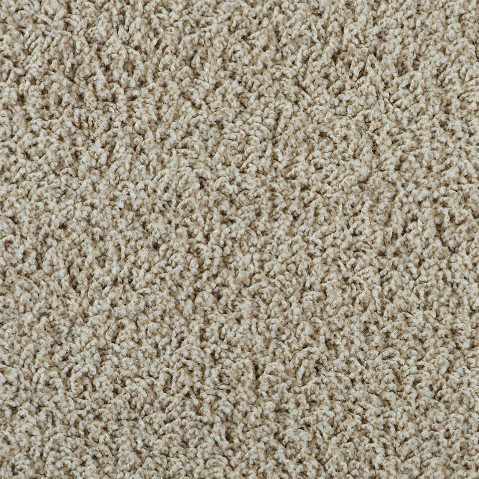 Bonaparte Vincent B118 272-V E1 400 Vincent Rugs & Residential Carpet Rolls