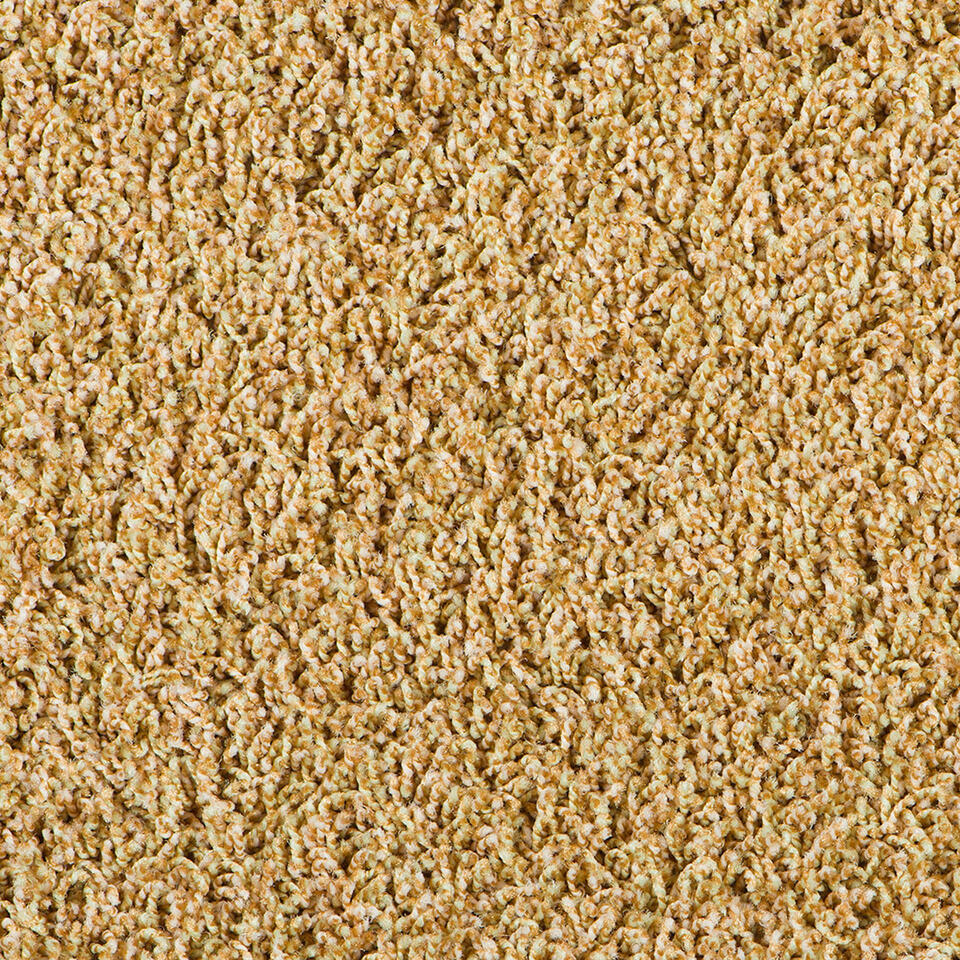 Bonaparte Vincent B118 284-V E1 400 Vincent Rugs & Residential Carpet Rolls