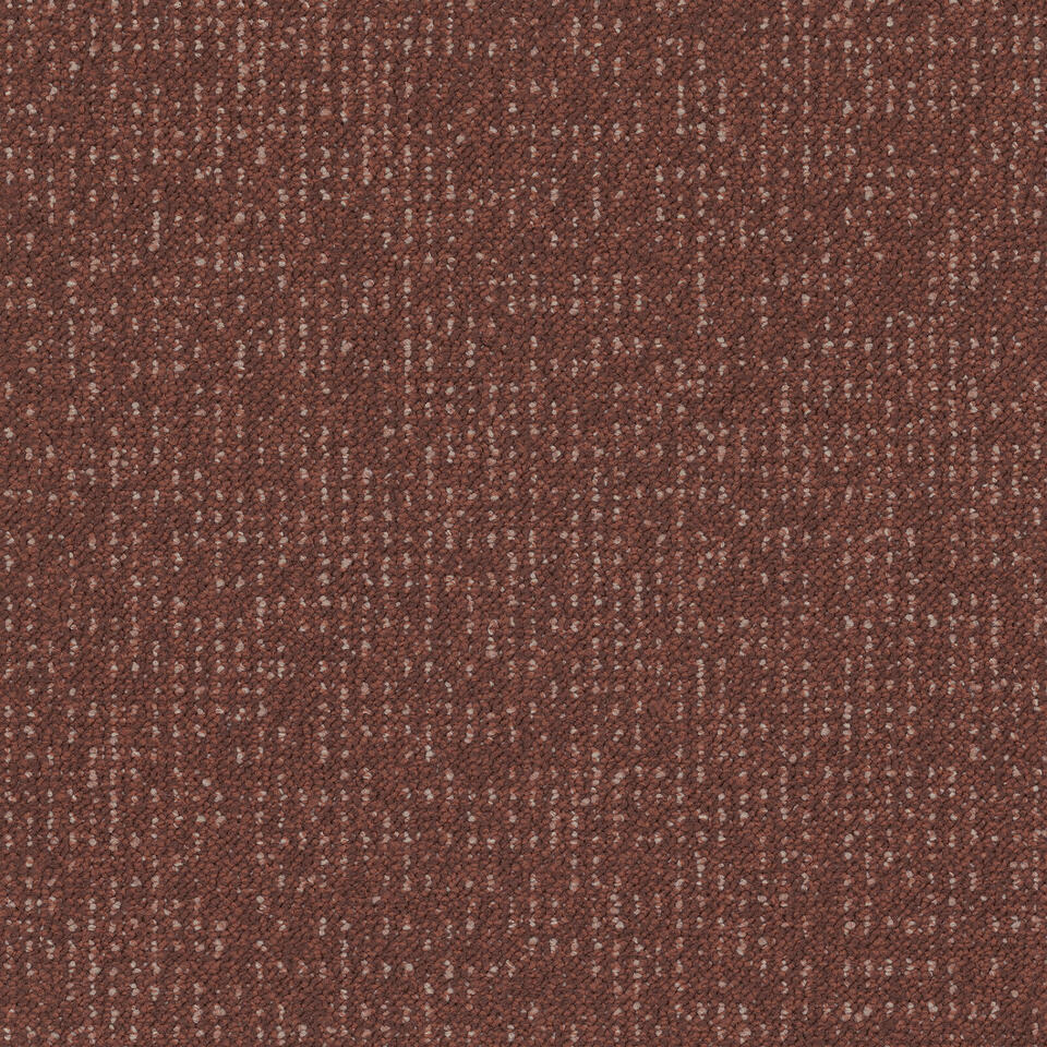 Desso Enlaced AD43 4311 B8 50x50 Enlaced Carpet Tiles