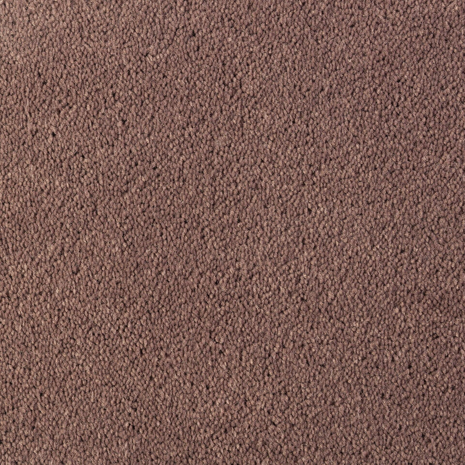 Asteranne A411 2942 Asteranne Carpet Rolls