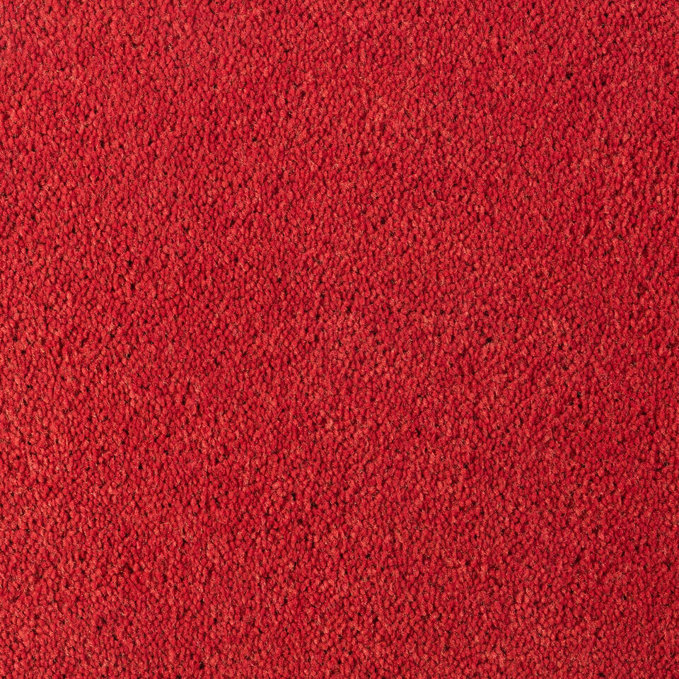 Asteranne A411 4311 Asteranne 50 Carpet Rolls