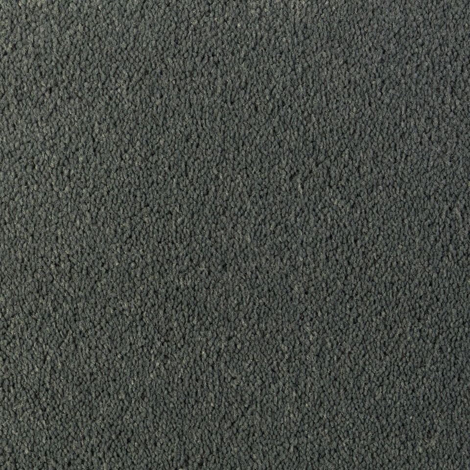Asteranne A411 9501 Asteranne Carpet Rolls