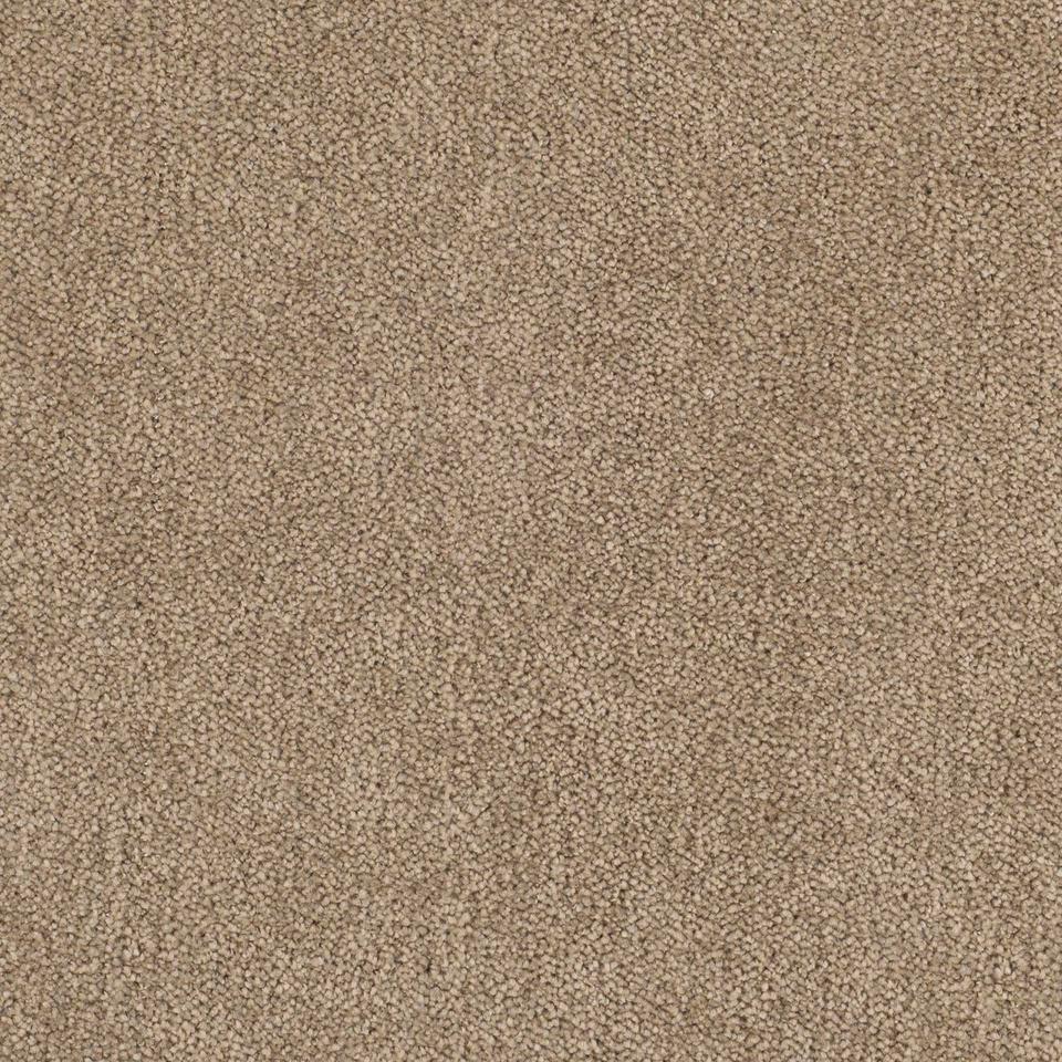 Dragon 10431 Dragon Tepisoni