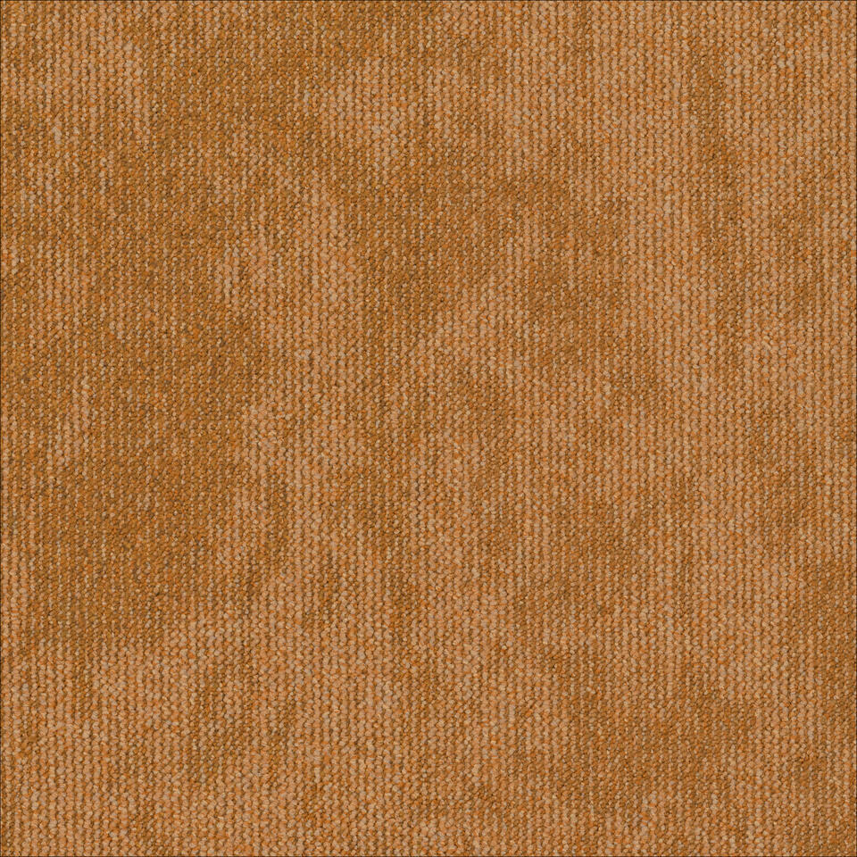 Desert AC89 5402 Desert Modular Carpet