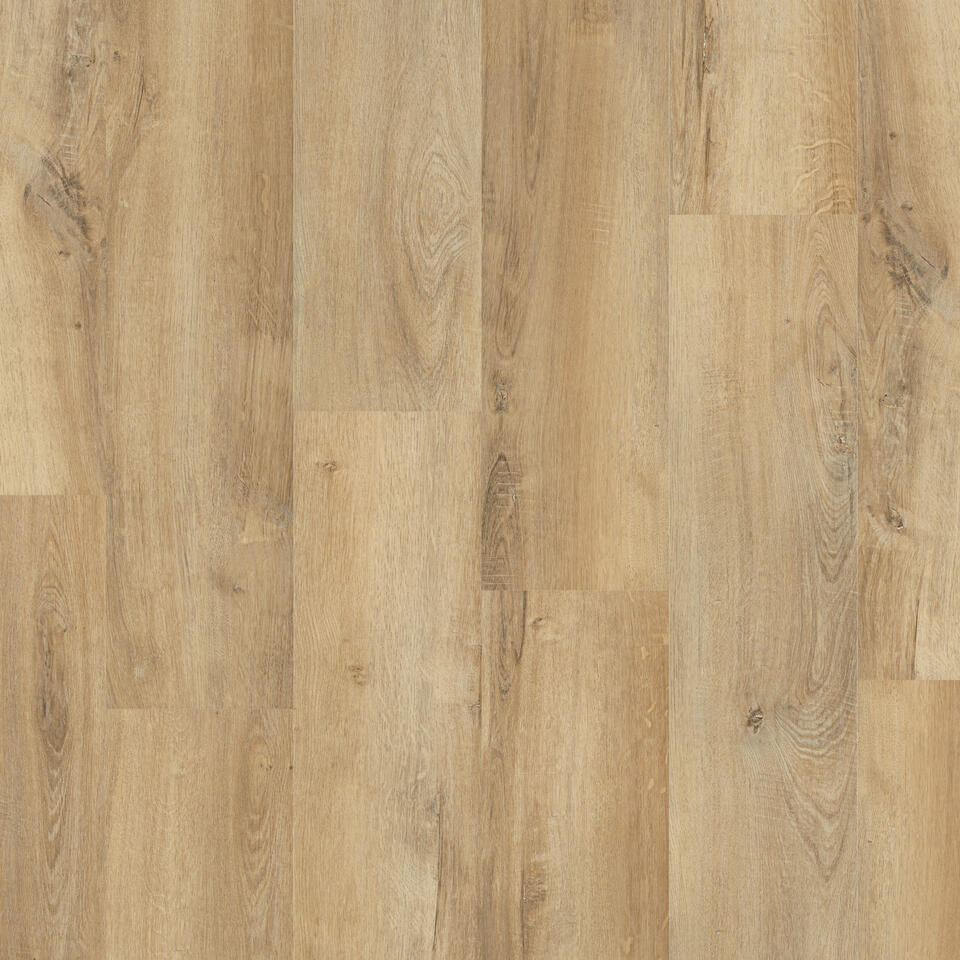 BOB FUNKY HOUSE Art Vinyl