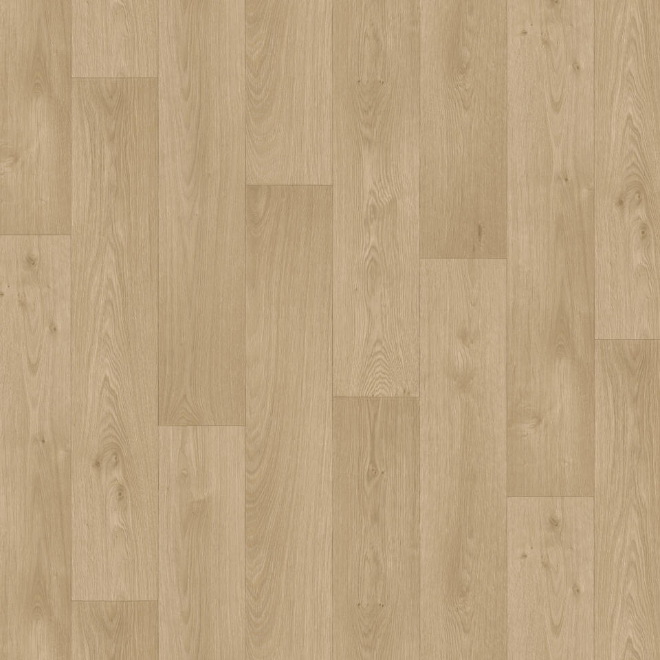 Amboise CAMEL RUBY COMPACT 4 Hétérogène U3U4 compact