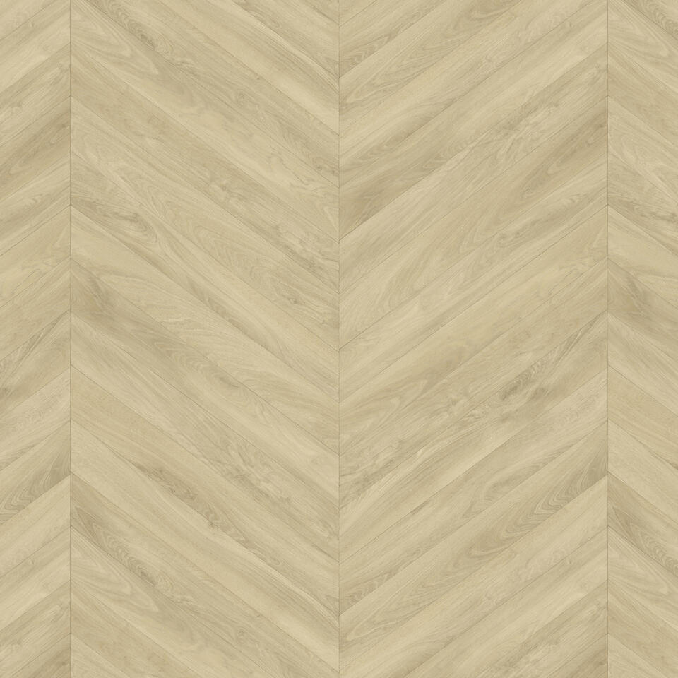 Haussmann BLONDE RUBY 70 Eterogenei