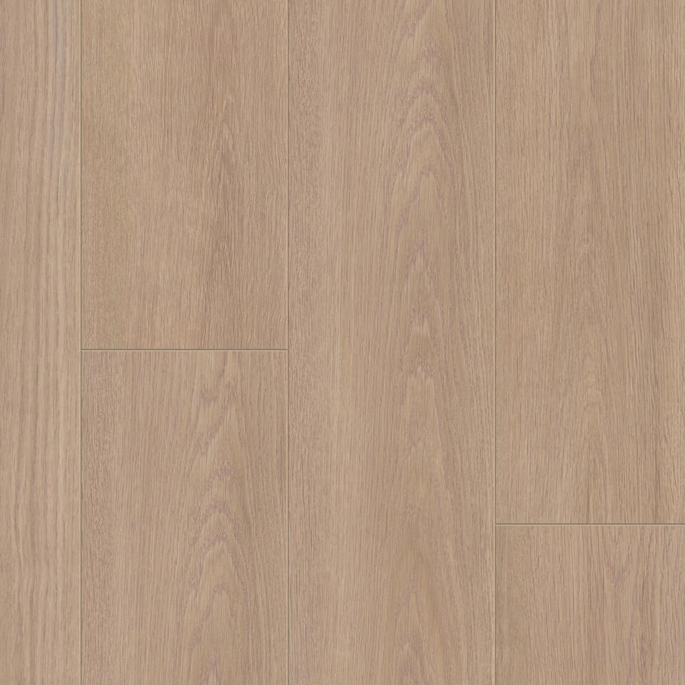 Kingsley Oak BEIGE Easy Line 5G Laminate