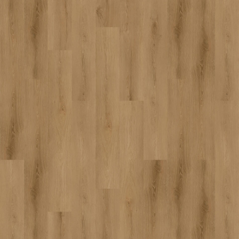Windsor Oak NATURAL Essence Rigid 55 Iberia Suelos modulares LVT