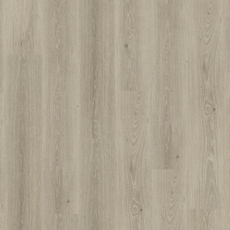 Tribe Oak Grey Essence 30/55 Glue-Down LVT