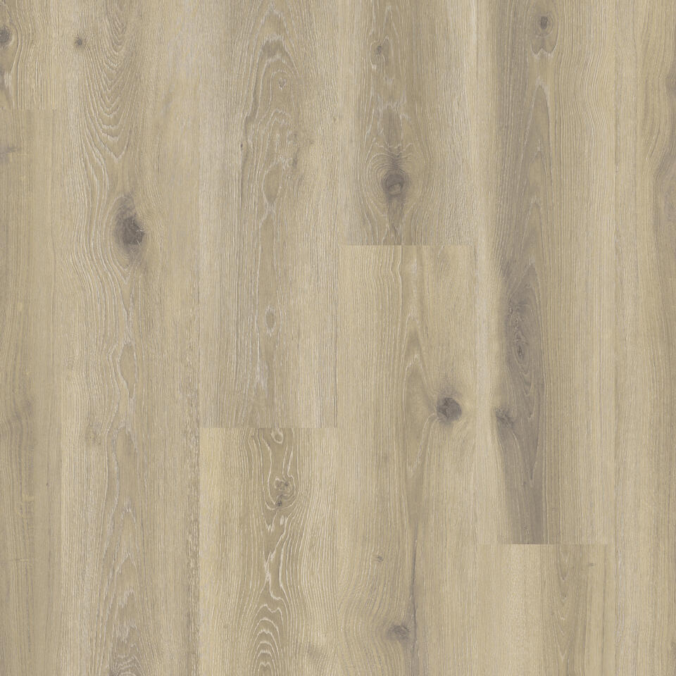 Forest Oak NUTMEG ID Naturals Glue-Down 55 Designböden