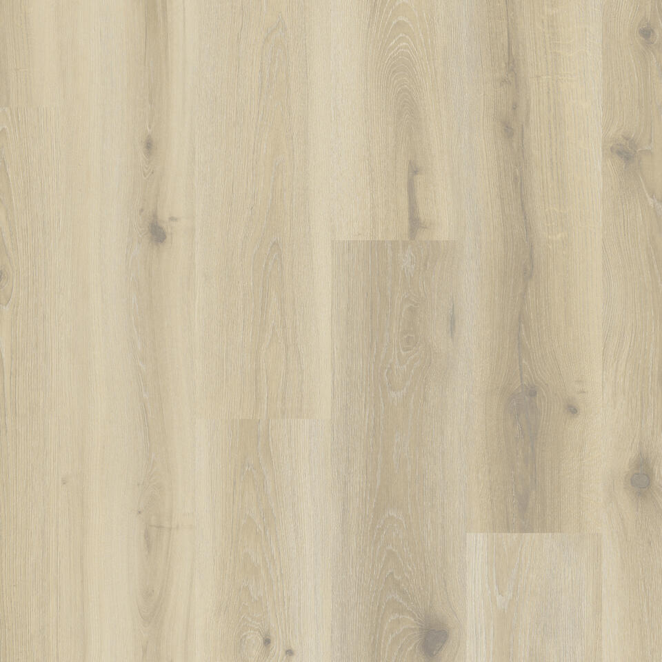Forest Oak PISTACHIO_SHELL iD Naturals Glue-Down 70 LVT Glue-Down