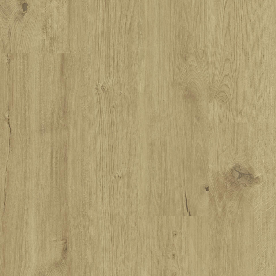 Nomad Oak OAT ID Naturals Glue-Down 70 Designböden