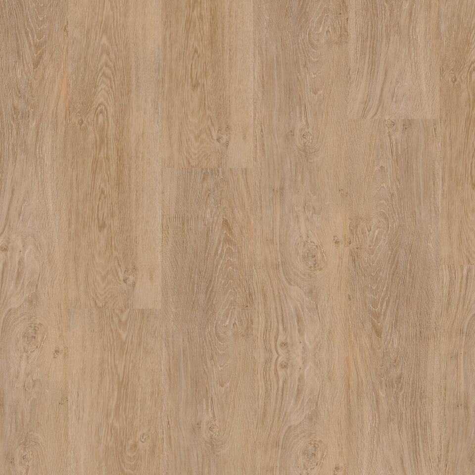 DARIN Progressive House SPC Click