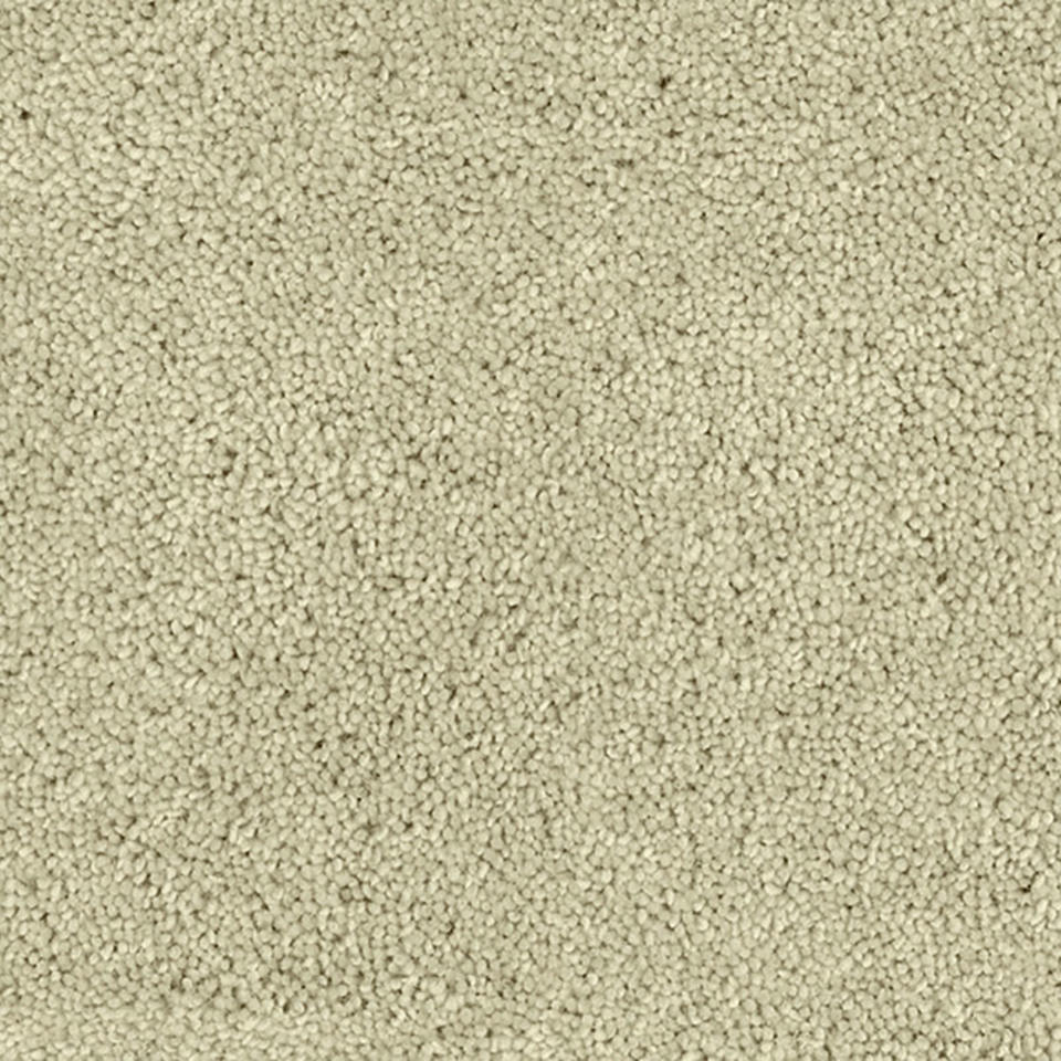 Excellent B155 275 Parade Excellent Carpet Rolls