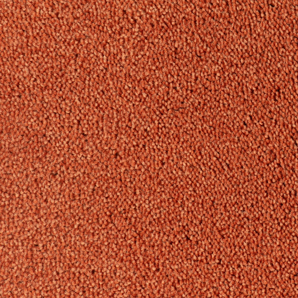 Parade Colour King AA73 117 E1 400 Colour King Rugs & Residential ...