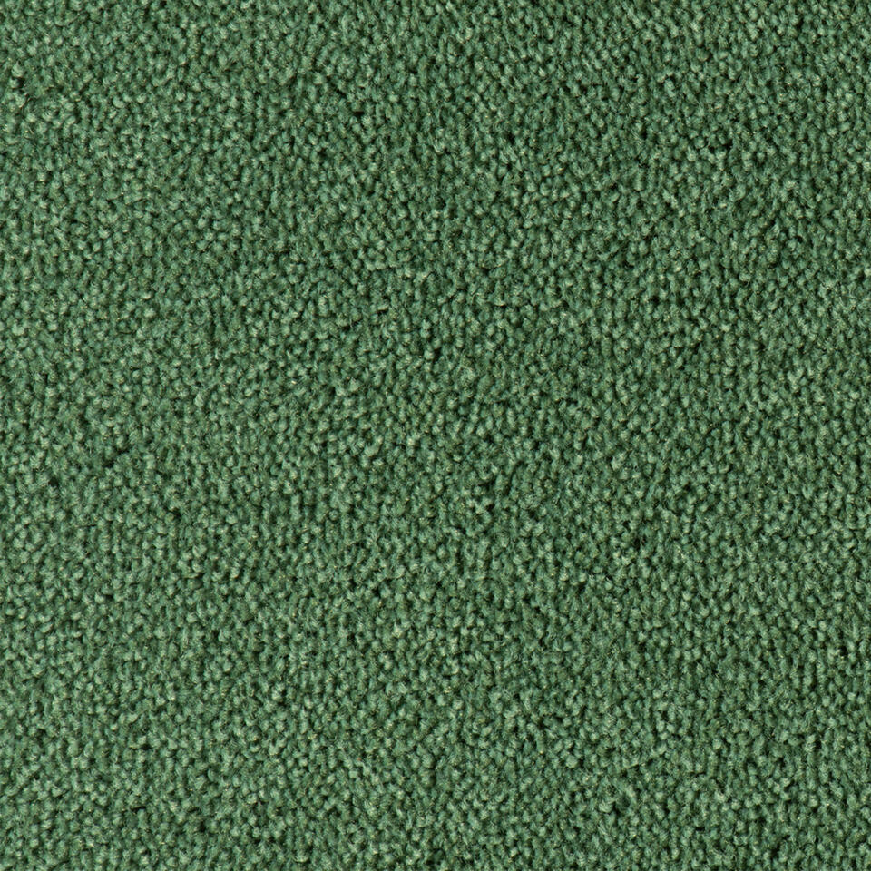 Parade Colour King AA73 126 E1 400 Colour King Kamerbreed tapijt