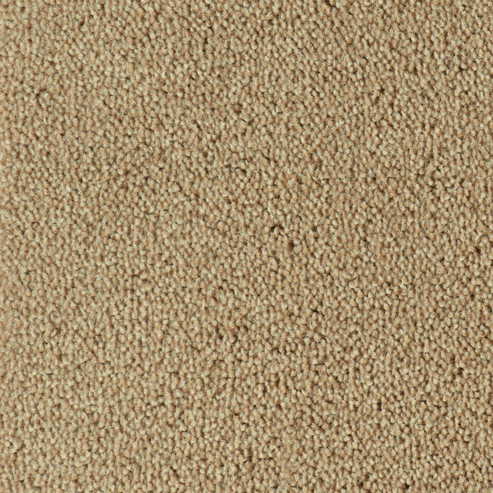 Parade Colour King AA73 140-V E1 400 Colour King Moquettes