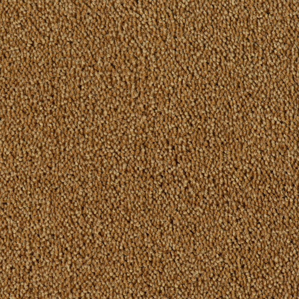 Parade Colour King AA73 141 E1 400 Colour King Rugs & Residential ...