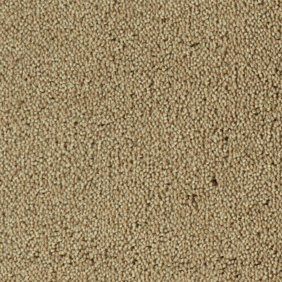 Parade Colour King AA73 142-V E1 400 Colour King Rugs & Residential ...