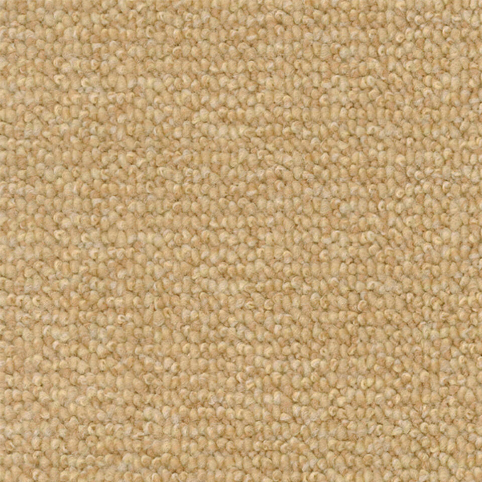 Parade Delta B206 170-V E1 400 Parade Delta Kamerbreed tapijt