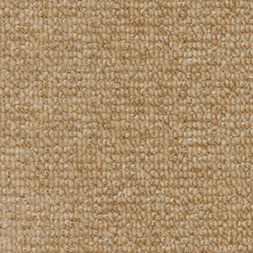 Parade Delta B206 177-V E1 400 Delta Rugs & Residential Carpet Rolls