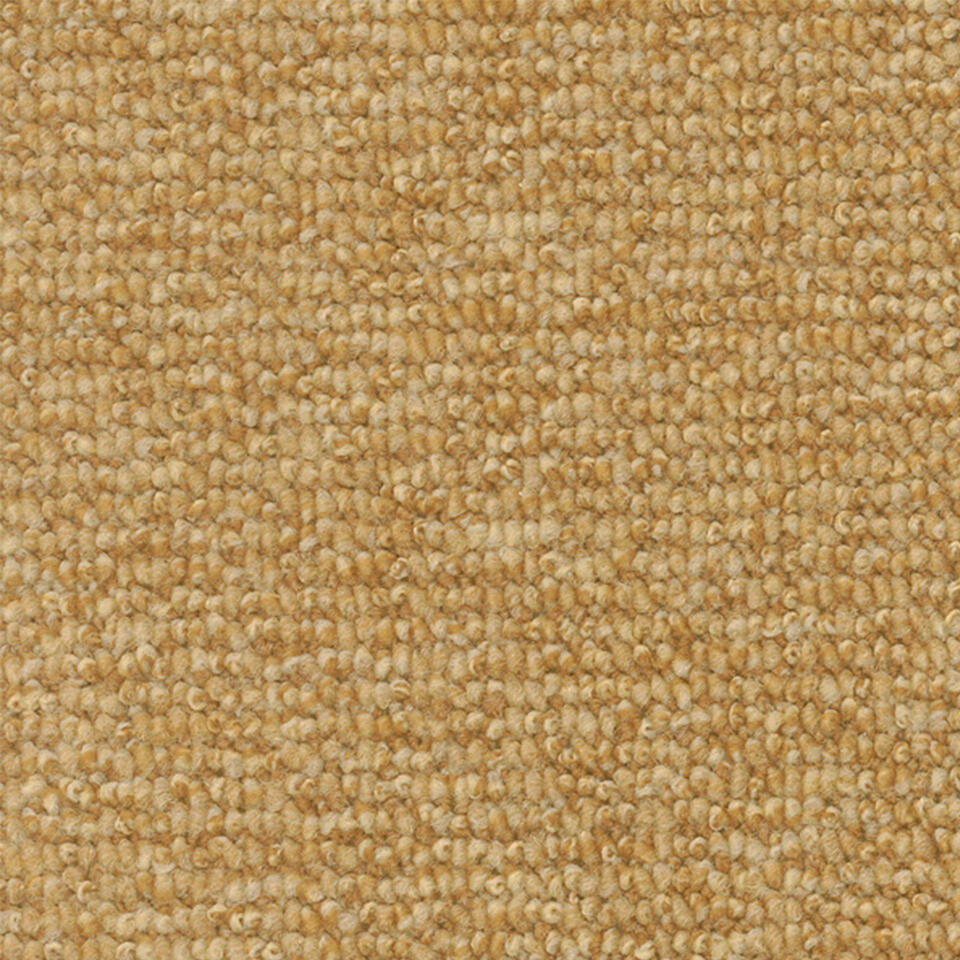 Parade Delta B206 188-V E1 400 Delta Rugs & Residential Carpet Rolls
