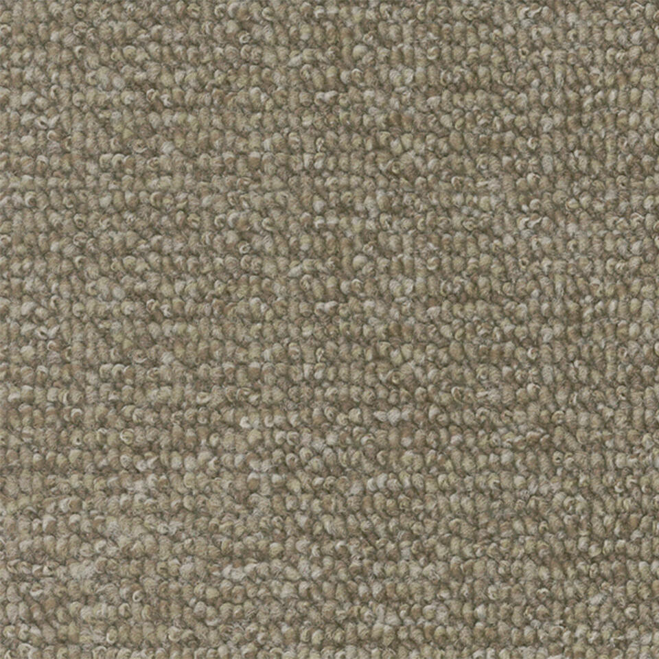 Parade Delta B206 192 E1 400 Delta Rugs & Residential Carpet Rolls
