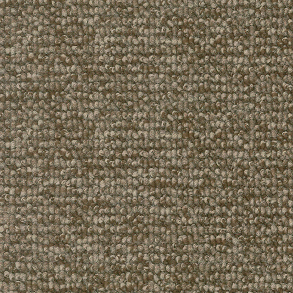 Parade Delta B206 196 E1 400 Delta Rugs & Residential Carpet Rolls