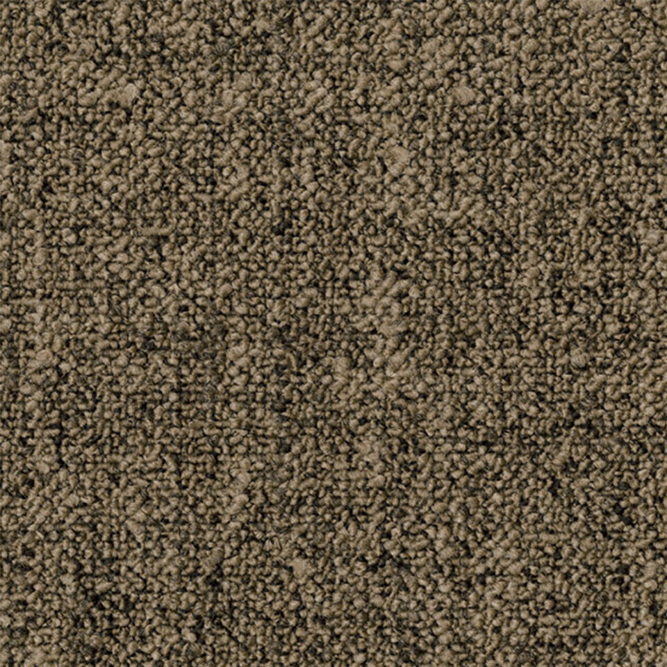 Parade Linon AB07 2023 T1 400 Parade Linon Kamerbreed tapijt