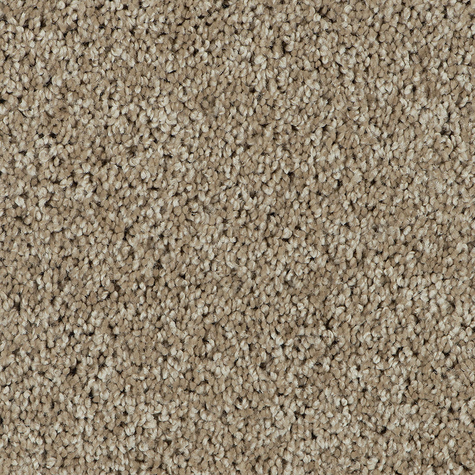 Soft Sensation AA67 174 Parade Soft Sensation Tepisoni