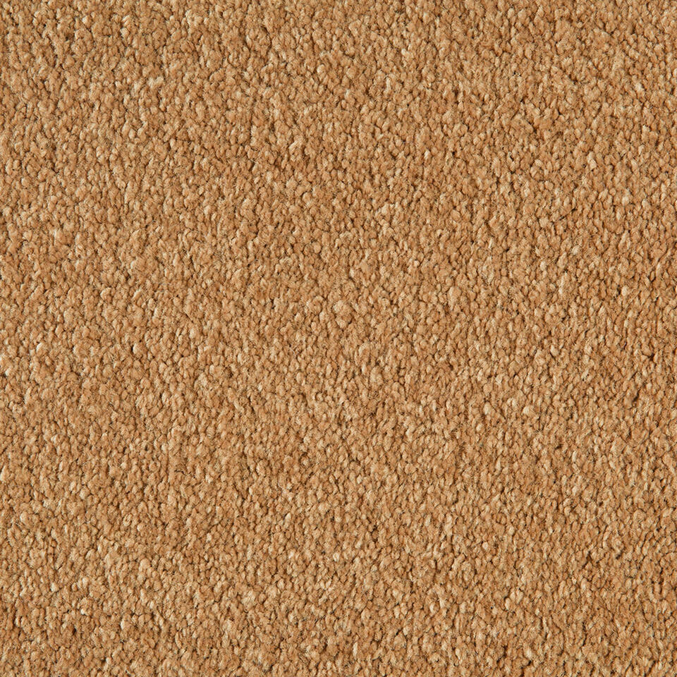 Parade Soft Sens II AC27 2058-V T1 400 Soft Sense II Rugs & Residential ...