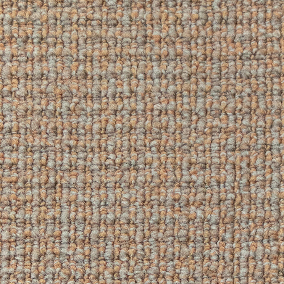 Studio B285 411 Parade Studio Rugs & Residential Carpet Rolls