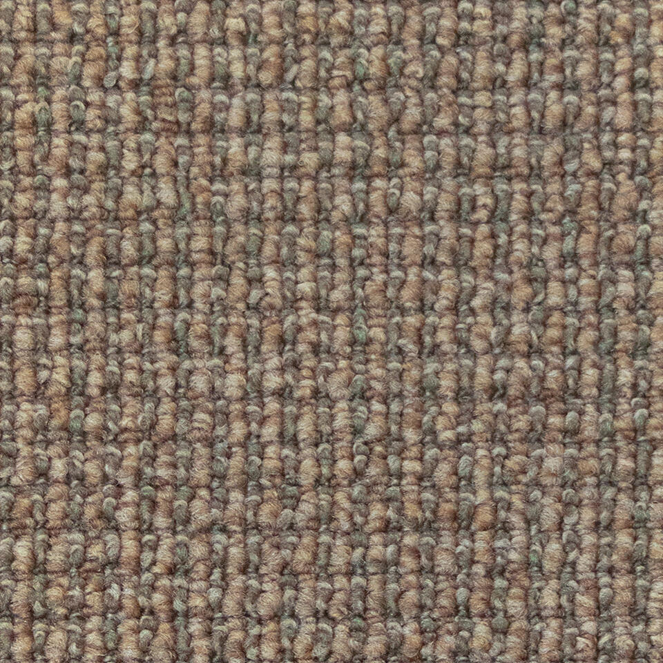 Studio B285 412 Parade Studio Rugs & Residential Carpet Rolls