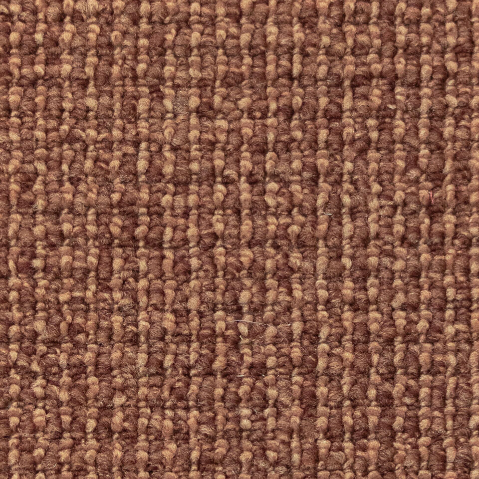 Studio B285 413 Parade Studio Rugs & Residential Carpet Rolls
