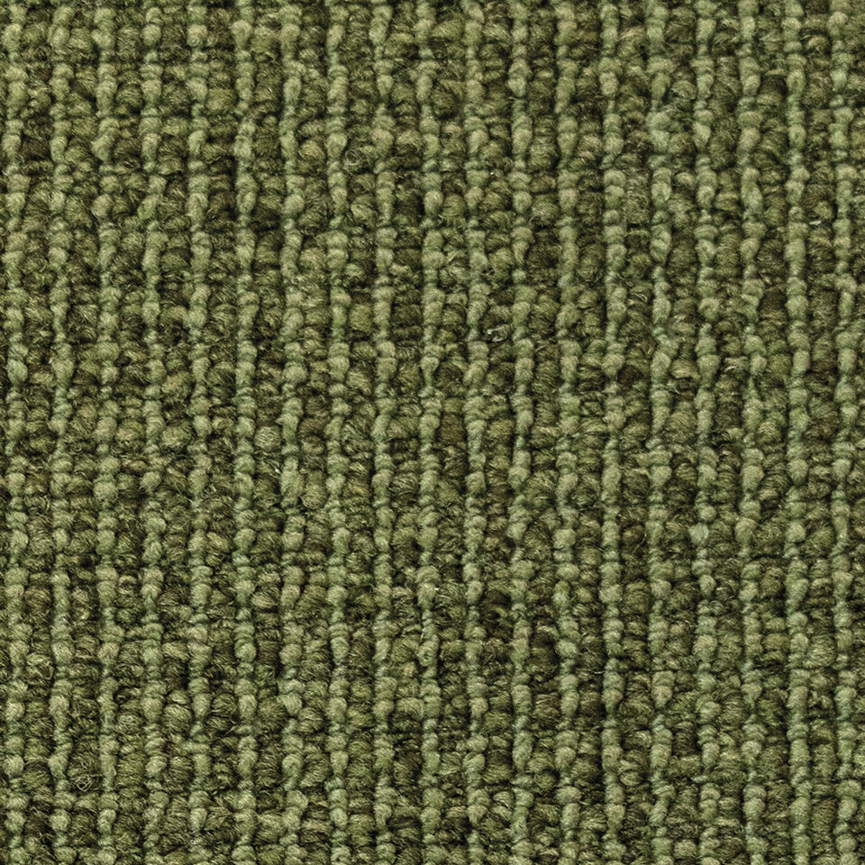 Studio B285 426 Parade Studio Commercial Carpet Rolls