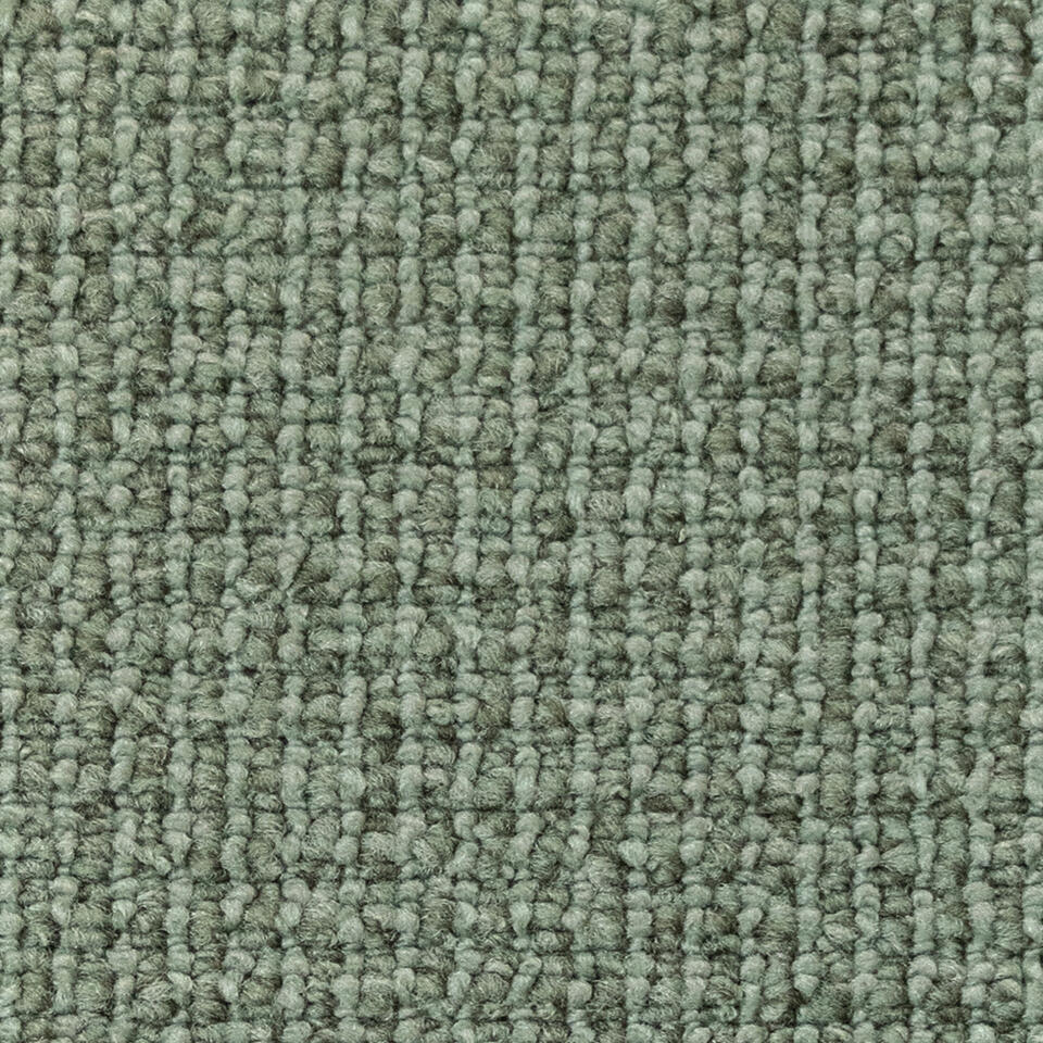 Studio B285 427 Parade Studio Rugs & Residential Carpet Rolls