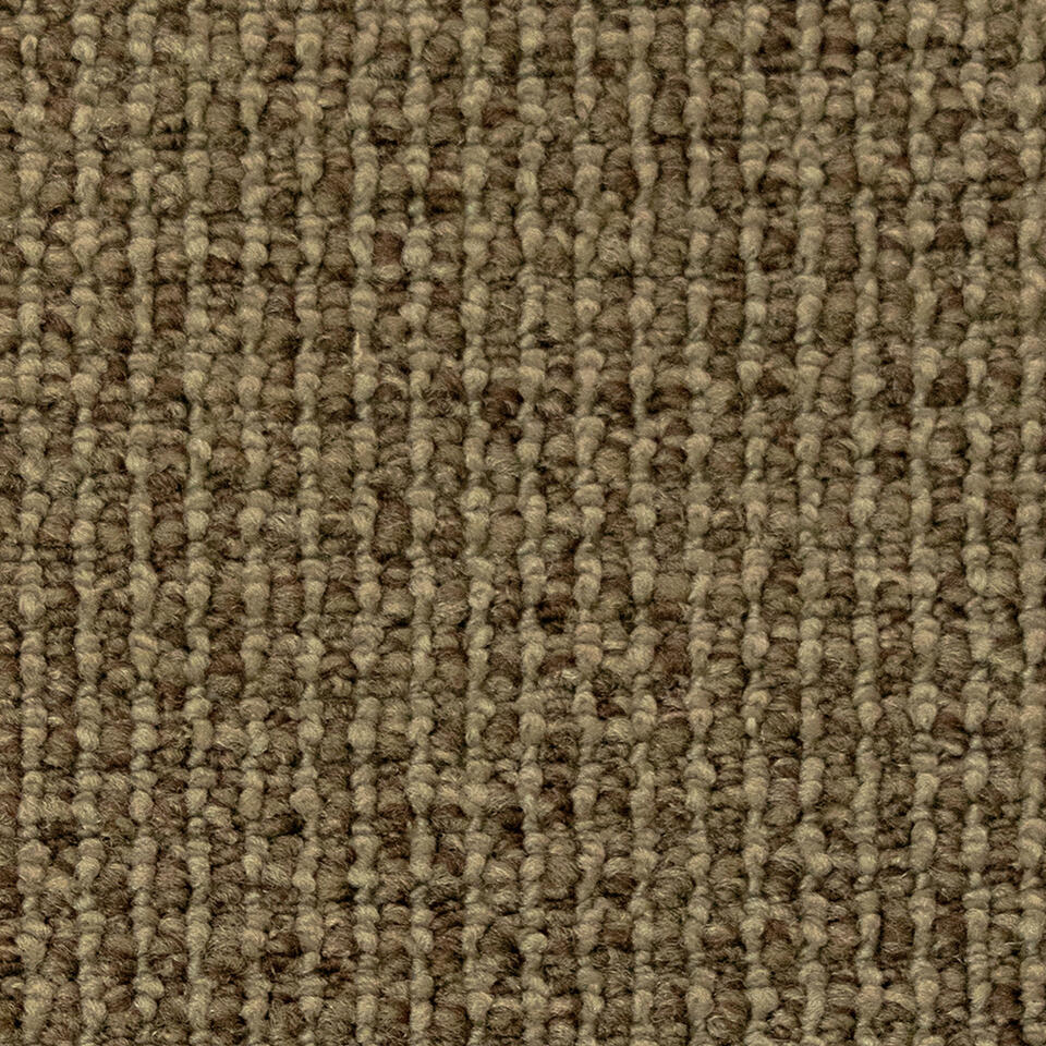 Studio B285 442 Parade Studio Rugs & Residential Carpet Rolls