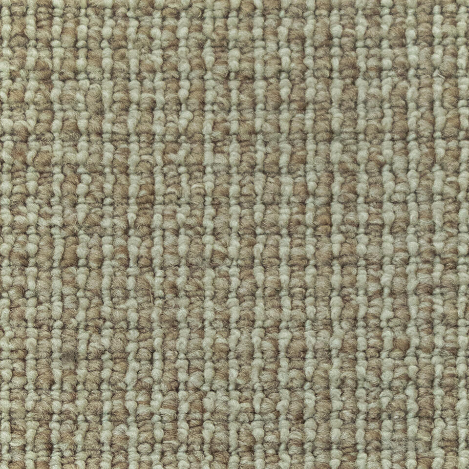 Studio B285 473 Parade Studio Rugs & Residential Carpet Rolls