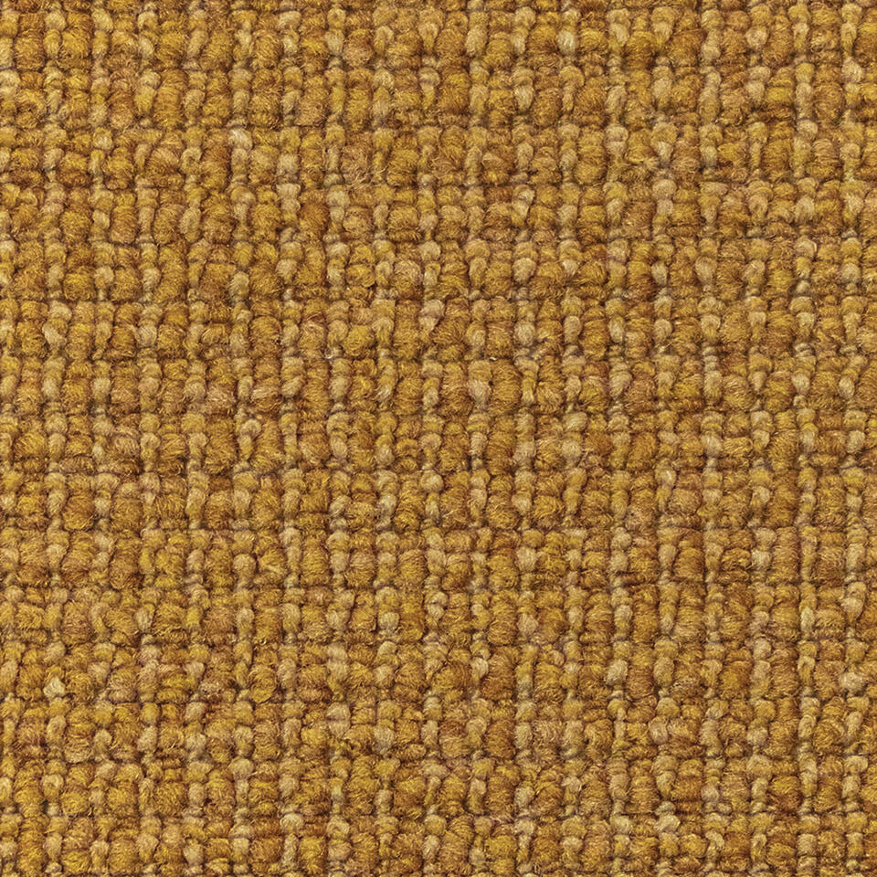 Studio B285 486 Parade Studio Rugs & Residential Carpet Rolls
