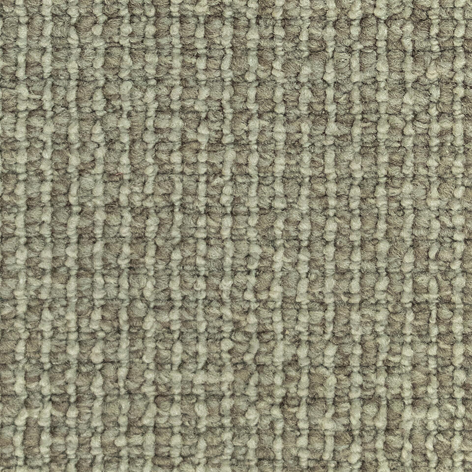 Studio B285 490 Parade Studio Rugs & Residential Carpet Rolls