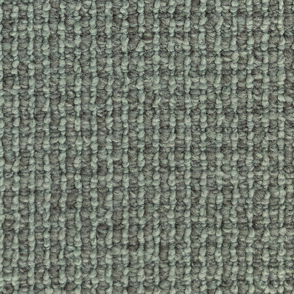 Studio B285 493 Parade Studio Rugs & Residential Carpet Rolls