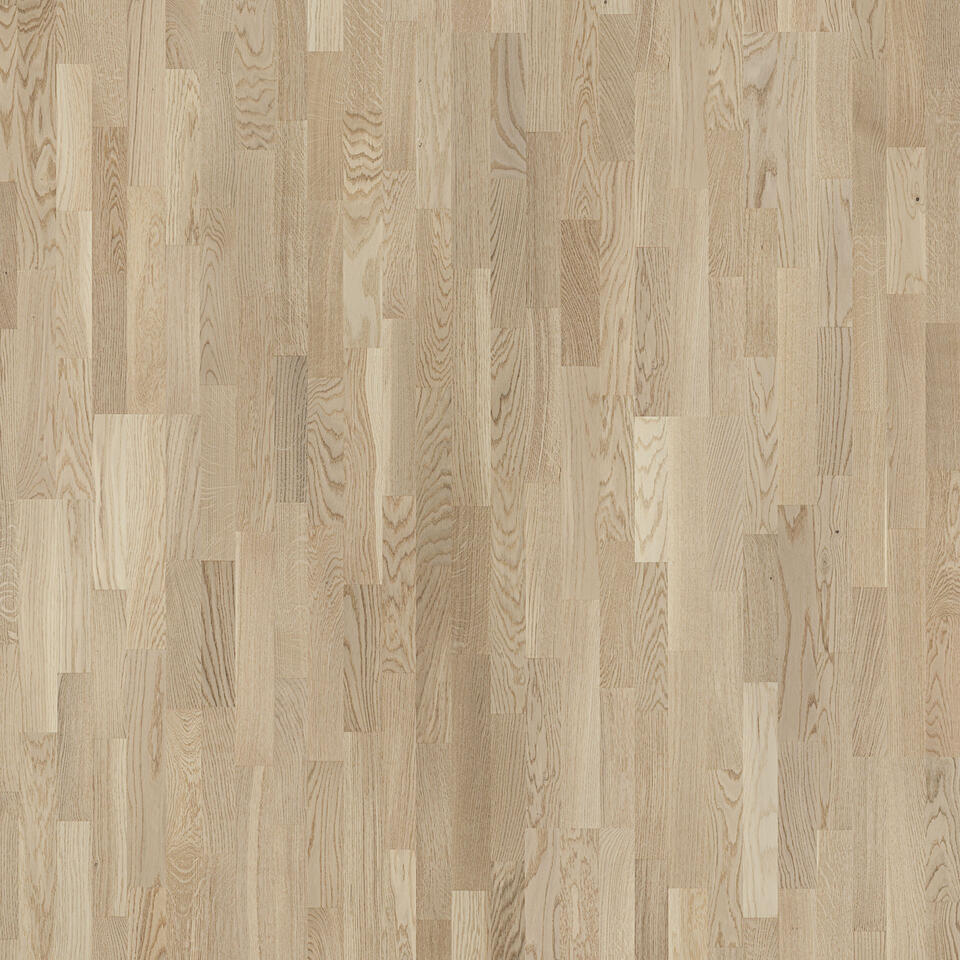 OAK ROBUST WHITE TRES (3-strip) Professional (13-14 mm) Lamine Parke