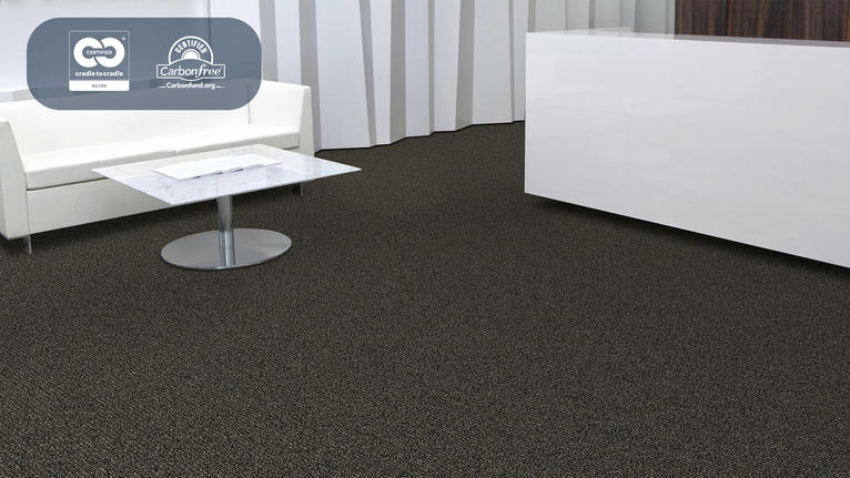 Tandus Carpet Tile Adhesive Msds | www.stkittsvilla.com